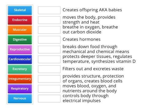 Body Systems Matching Match Up