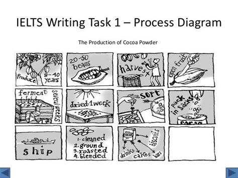 Ielts Task 1 Process
