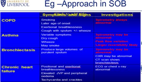 Lecture 6 Pulmonary Function Testing Flashcards Quizlet
