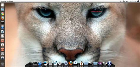 Install Mac OS X Theme On Ubuntu Precise Linux Mint NoobsLab Eye On Digital World