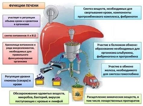 Купить LIV-Guard - ЛИВ-Гард | NSP Молдова
