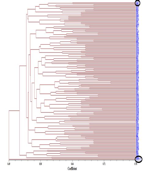 Dendrogram Ntsys Pc Upgma Of 157 Rb50 X Kranti F2 Plants And