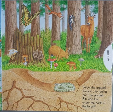 Turn And Learn Out In Nature استدر وتعلم في الطبيعة