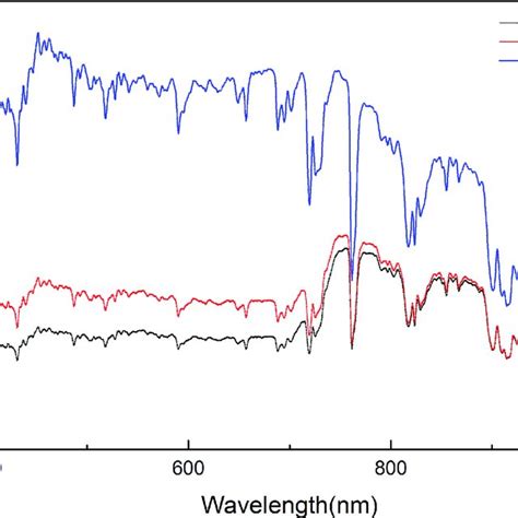 Maize Soybean Relay Strip Intercropping System And Sole Cropping System Download Scientific