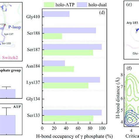 Hydrogen Bond Analysis Of The Adenosine Triphosphate Atp Binding Site Download Scientific