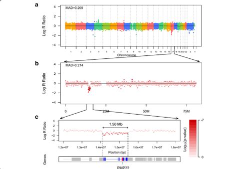 combined log r ratio lrr plots of the 17p11 2 copy number variation