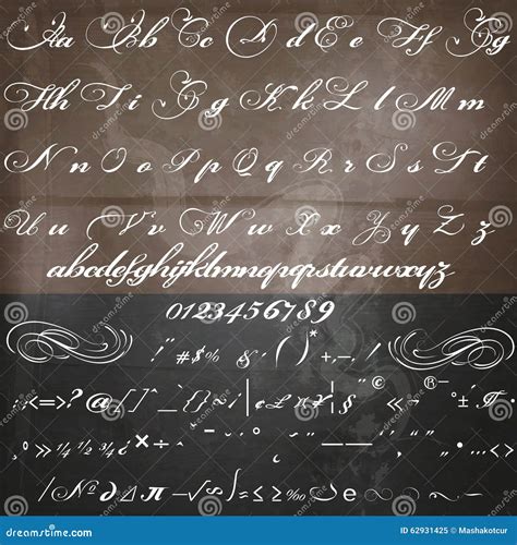 Script Font Brush Painted Letters Vector Hand Drawn Alphabet CartoonDealer