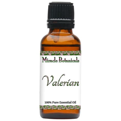 Valerian Root Essential Oil Wildcrafted Valeriana Officinalis