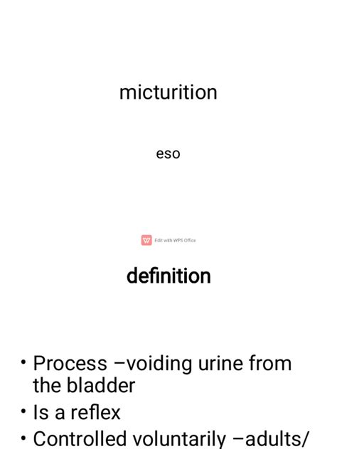 Micturition Pdf