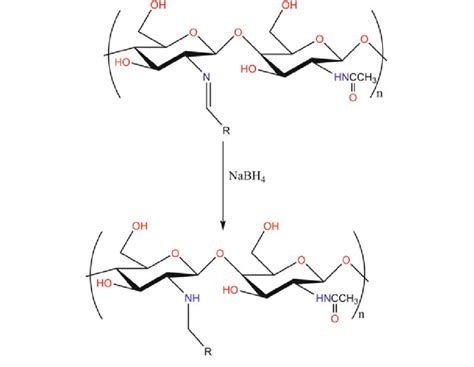 Glutaraldehyde Cross Links With Chitosan Schiffs Base Reaction R Download Scientific