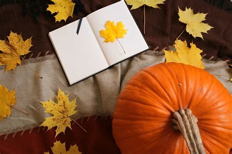 가 Mockupautumn 분위기입니다 빈 노트북 큰 오렌지 호박 오크 및 단풍나무 잎 갈색 줄무늬 Scarfflat에 누워 보기 상위 공간을 복사 합니다 가 시즌입니다 0