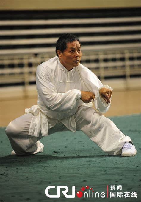 螳螂拳卡通 螳螂拳 螳螂拳 大山谷图库