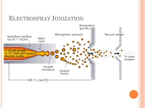 Ppt Exploring Proteins And Proteomes Powerpoint Presentation Free