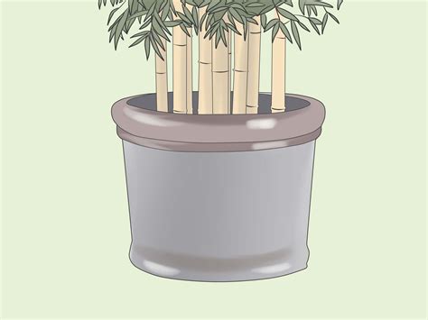 How To Get Rid Of Bamboo 9 Steps With Pictures WikiHow
