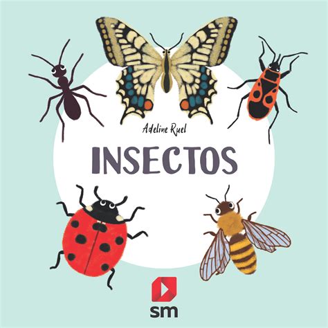 Insectos Naturaleza La Casa Curiosa