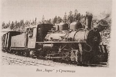 СРБИН Република Српска Чобаница Вукосава помогла аустријском инжињеру да ријеши проблем