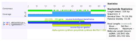 Alignment Of Two Cds Sequences Ab546903 Tig00000037 Alpha Pyrone