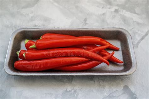 Plastic Box With Substrate Soil For Transplanting Houseplants Isolated