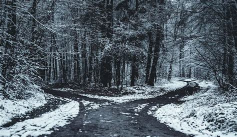 How To Manage Performance Anxiety Shelley J Whitehead