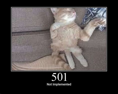 501 Not Implemented Cats