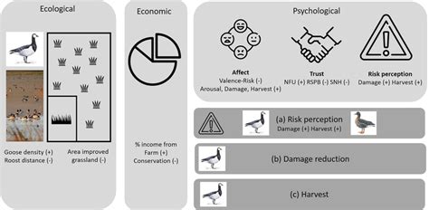 Conceptual Framework Indicating Direction Of Hypothesized Relationships Download Scientific