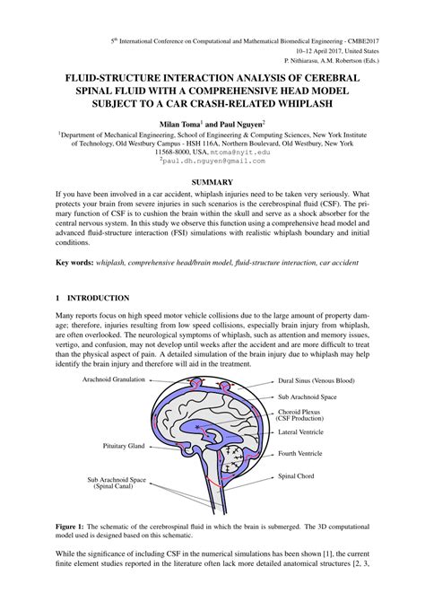 Pdf Fluid Structure Interaction Analysis Of Cerebral Spinal Fluid