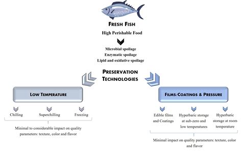 Why Are Fish And Shellfish Considered Perishable Products 2025