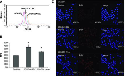 Cell Uptake Studies Of Liposomal Doxorubicin Dox A Flow Cytometry
