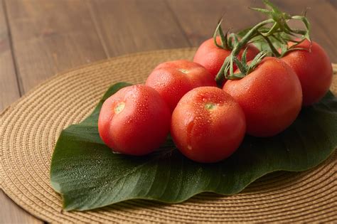 Testing Academy Providing Premium Quality Technology Testing Services To Clients Globally