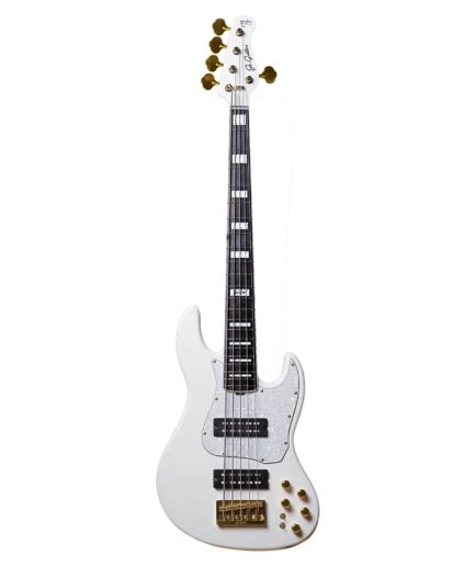 Signature Series Js Guitar Official