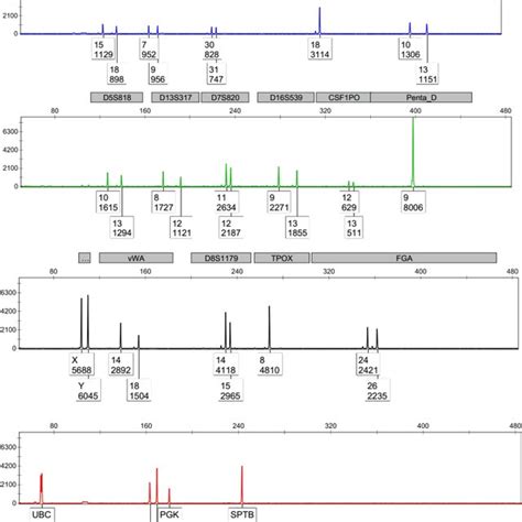 A Str Profiling Results For Str Mrna Co Analysis Assay Detection Using Download Scientific
