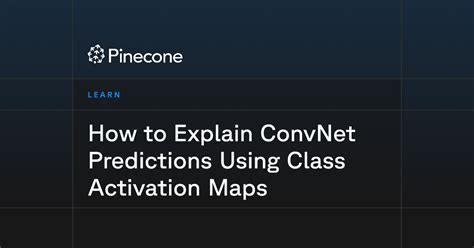 how to explain convnet predictions using class activation maps pinecone