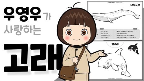 색칠 도안 이상한 변호사 우영우 고래 알아보기 대왕고래 향유고래 혹등고래 귀신고래 범고래 돌고래 남방큰돌고래 상괭이 아래의 링크를 클릭해 도안을