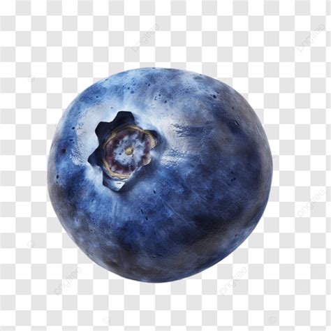 사람과 식물 날아다니는 베리 블루베리 모험 그림 날아다니는 블루베리 Png 일러스트 및 이미지 에 대한 무료 다운로드 Pngtree