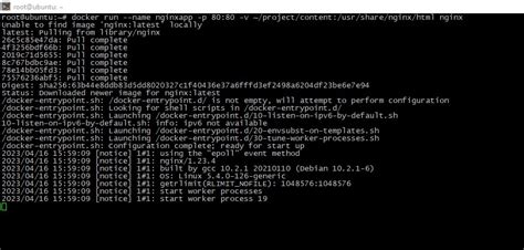 Como Correr Nginx En Un Parche De Docker Contenedor En Ubuntu Guía De