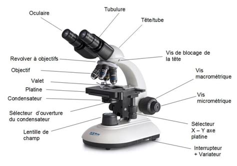 microscope photonique avis et comparatif pour 2024
