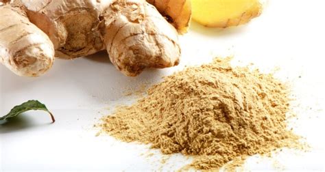 Ginger Donuts Namely Marly