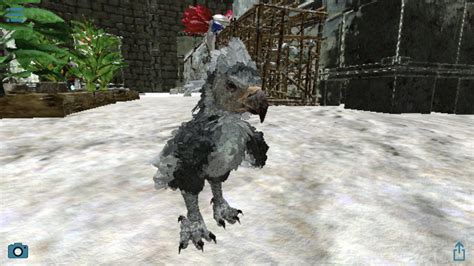 Hes So Cute And Tiny Rark