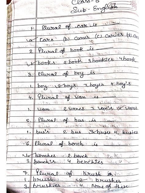 Class 6th English 30 Mcq Pdf