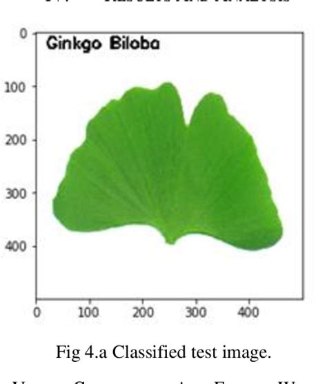 figure 4 from medleaf detection using image processing algorithm