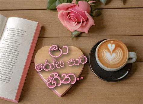 ලා රෝස පාට හීන 🥀