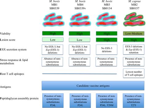 Summary Of The Results Of Strategic Protein Targeted Comparative