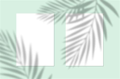 흰색 빈 수직 용지의 벡터 모형입니다 그림자 오버레이 효과 투명 한 부드러운 빛과 가지에서 그림자 식물과 잎 투명 한 잎 그림자와 자연 번개의 모형 그림자에 대한 스톡 벡터