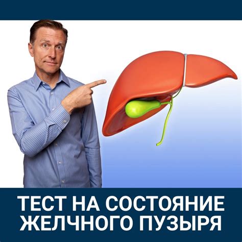 ПРОВЕРЬТЕ СВОЙ ЖЕЛЧНЫЙ Желчный пузырь собирает доводит до нужной концентрации и хранит желчь А