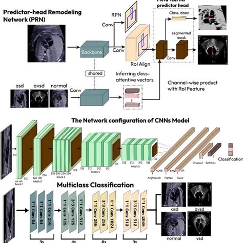 Example Echocardiogram Label Of Cardiac Septal Defect And Normal Heart Download Scientific