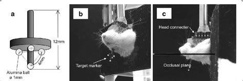 Target Marker Assembly A Marker Assembly Onto Which Four Alumina Download Scientific Diagram