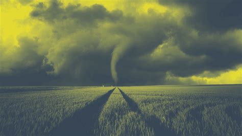 Tornado Safety In The Workplace Osha Procedures And Requirements