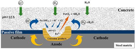 Rebar Coating Corrosion At Isla Lascelles Blog