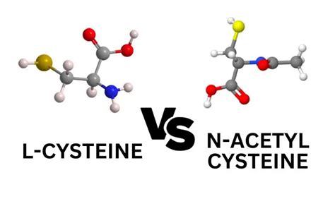 L Cysteine Vs Nac Whats The Difference