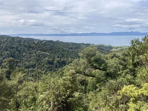 Best Bird Watching Trails In Hunua Ranges Regional Park Alltrails